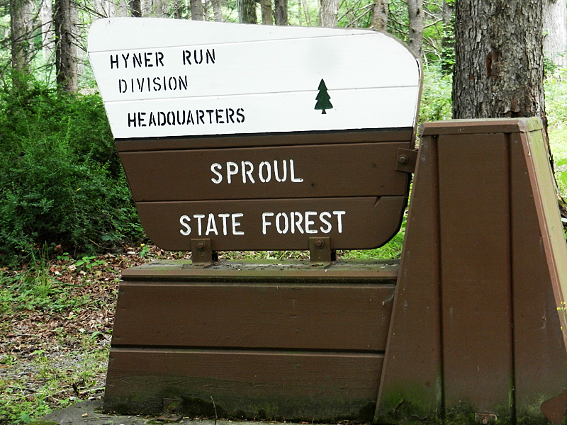 Big Jump in State’s Local Forestland Reimbursements – The Record Online