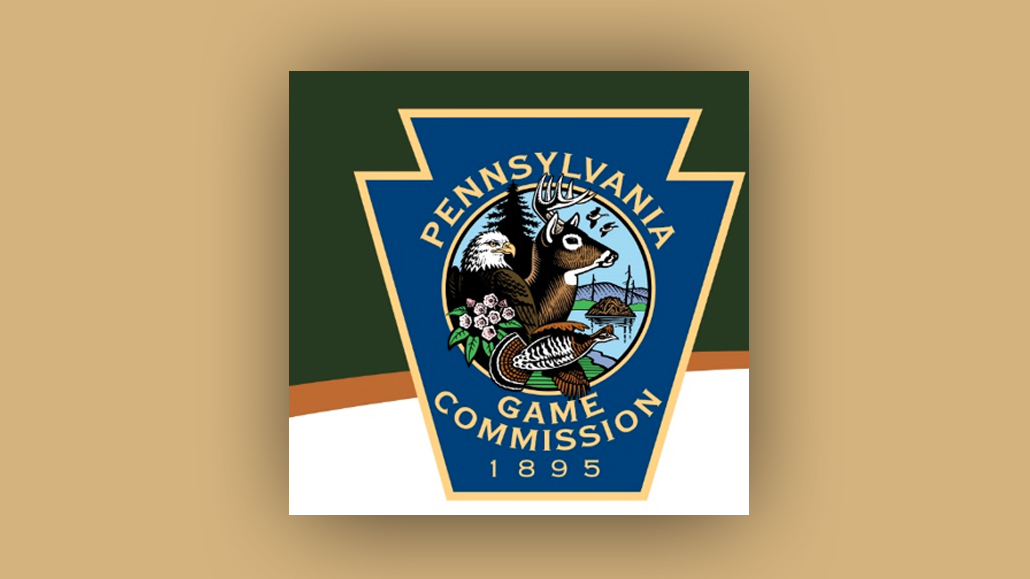 State Game Commission Probing Elk Killing near Karthaus – The Record Online