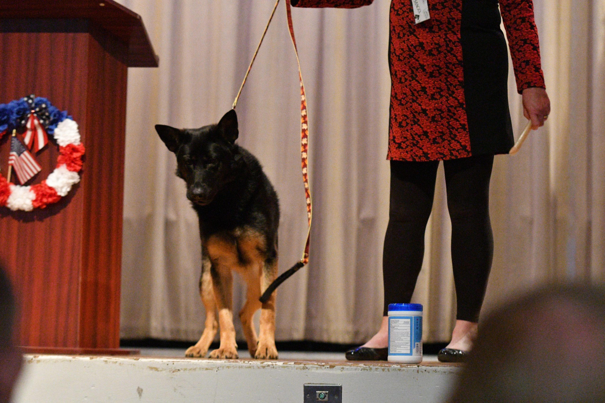 Livington’s Veteran dog Kato – The Record Online