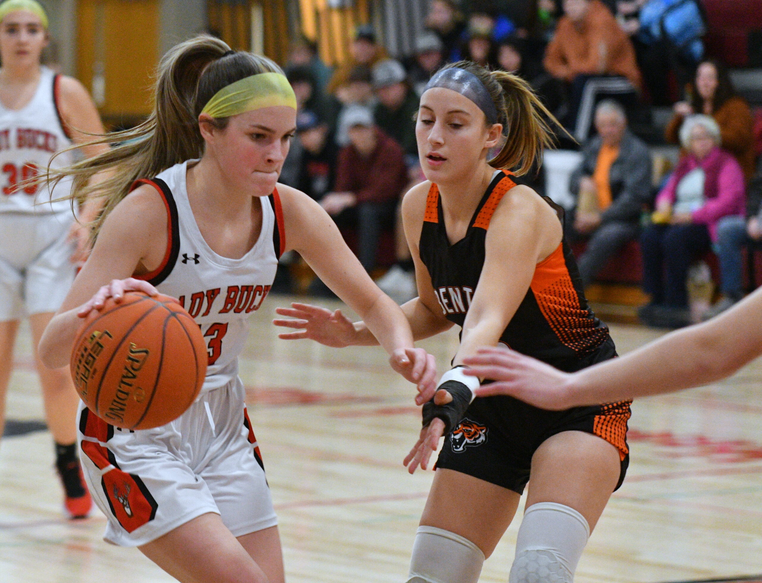 Kayla Probert – The Record Online