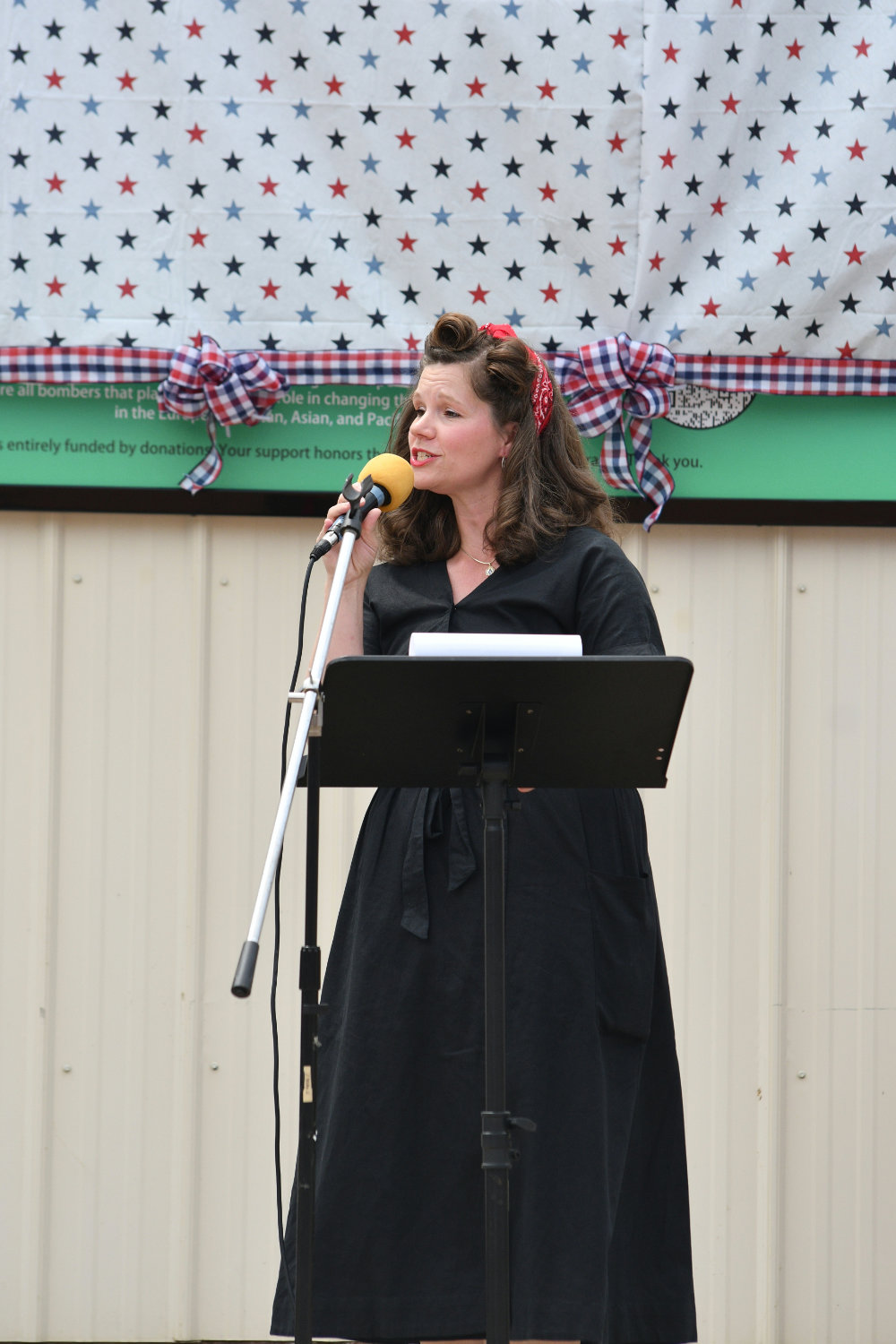 Renovo’s Fly Boys mural warmly received – The Record Online