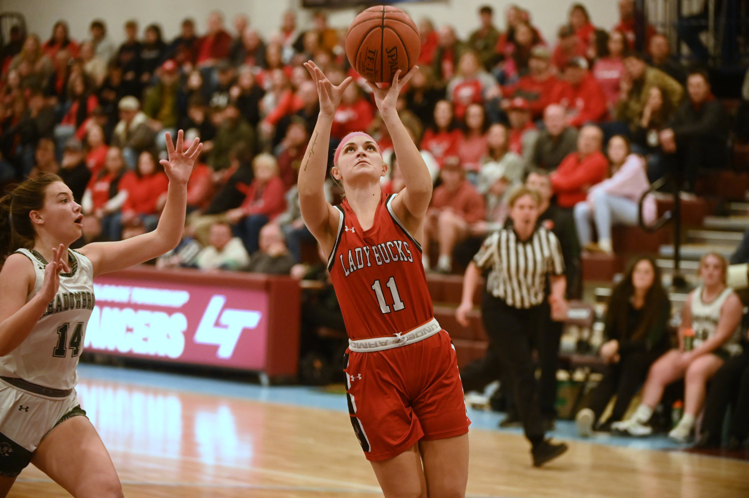 Alexis Lowery – The Record Online