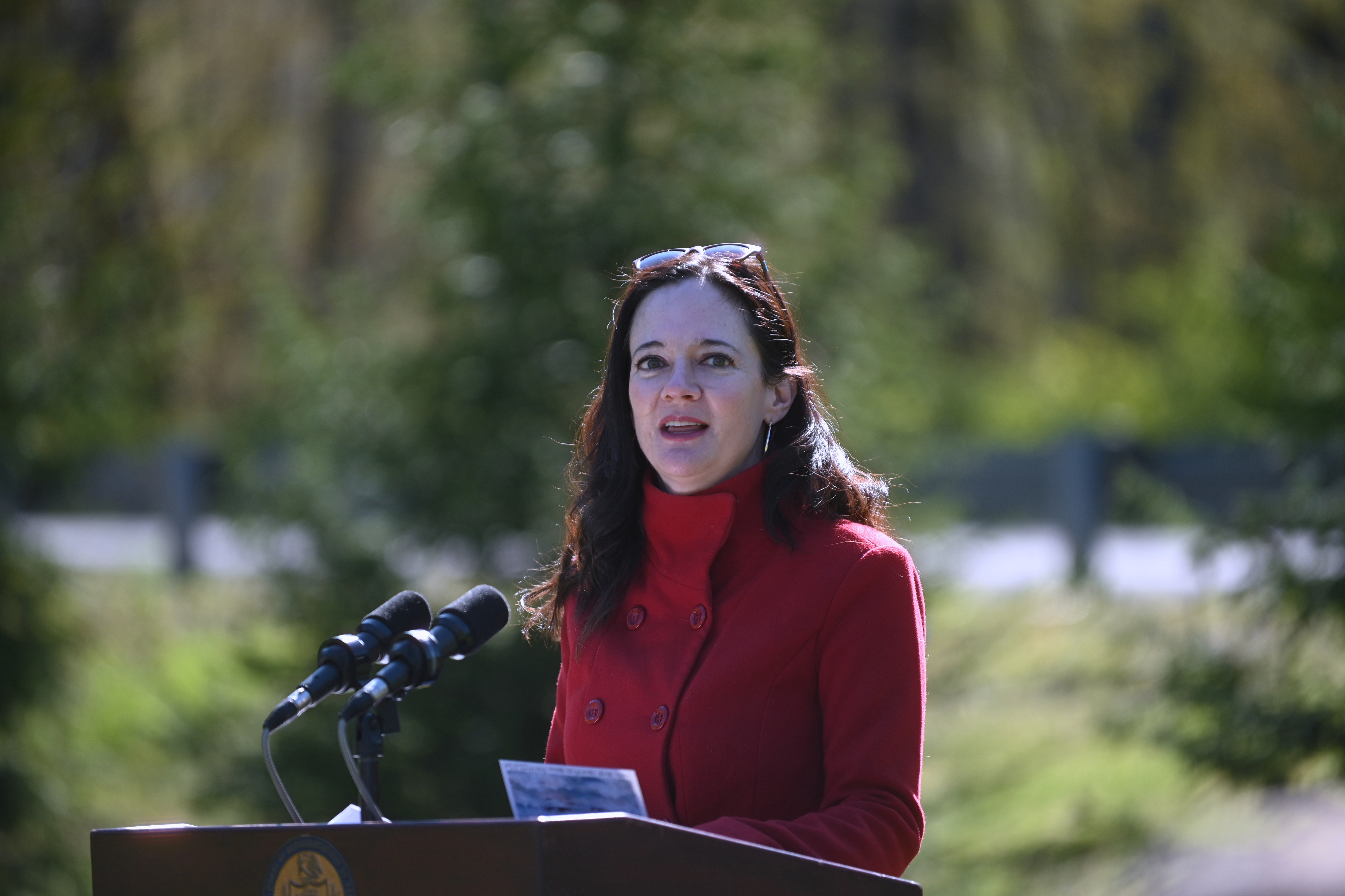 Rep Borowicz – The Record Online