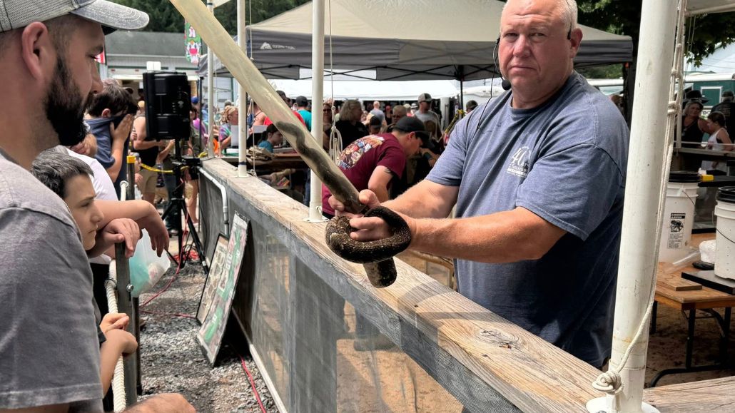 53rd Annual Cross Fork Snake Hunt Draws Huge Crowd – The Record Online